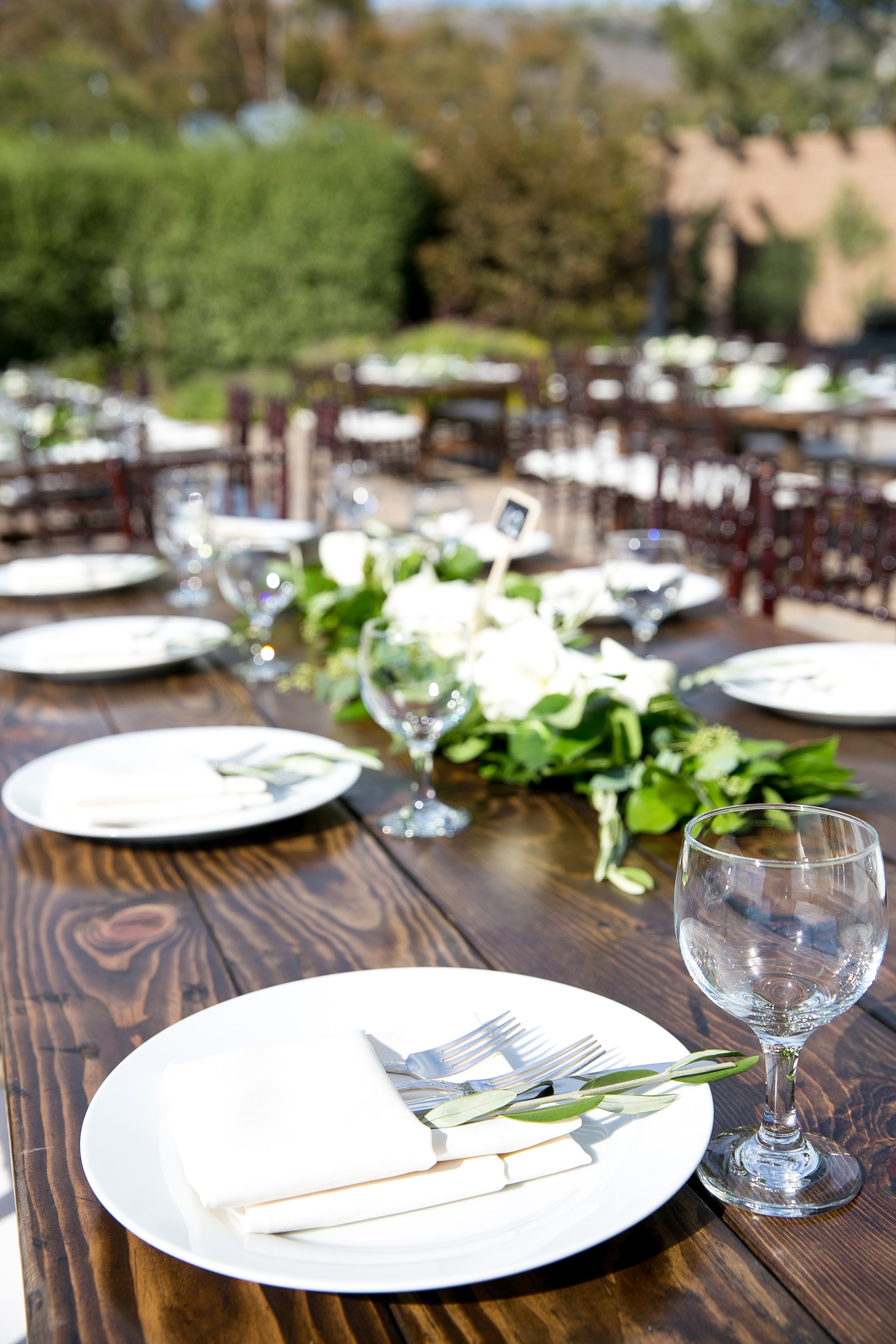 untitled shoot-0977 - Gaetano's Italian Restaurant